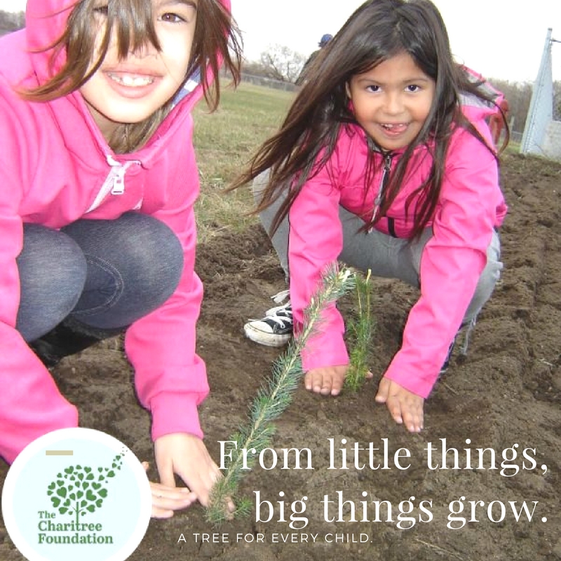 Environmental education for children - The ChariTree Foundation