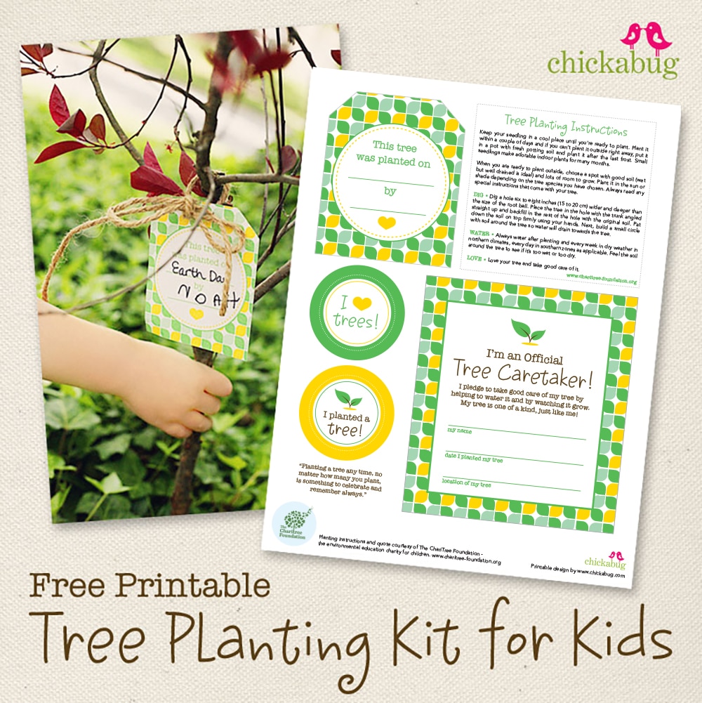 Tree planting activities for kids - The ChariTree Foundation