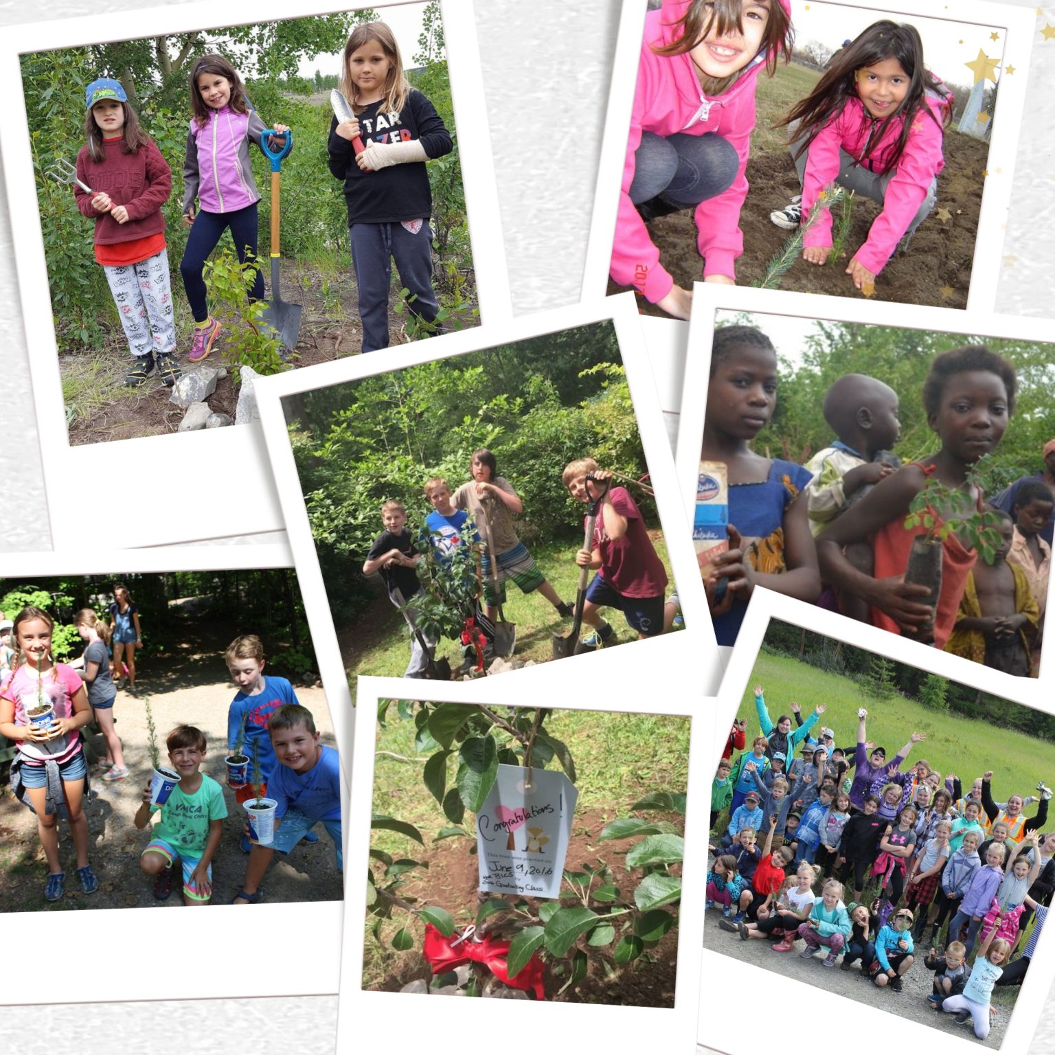 Canadian tree planting program for children and youth is open - The ...