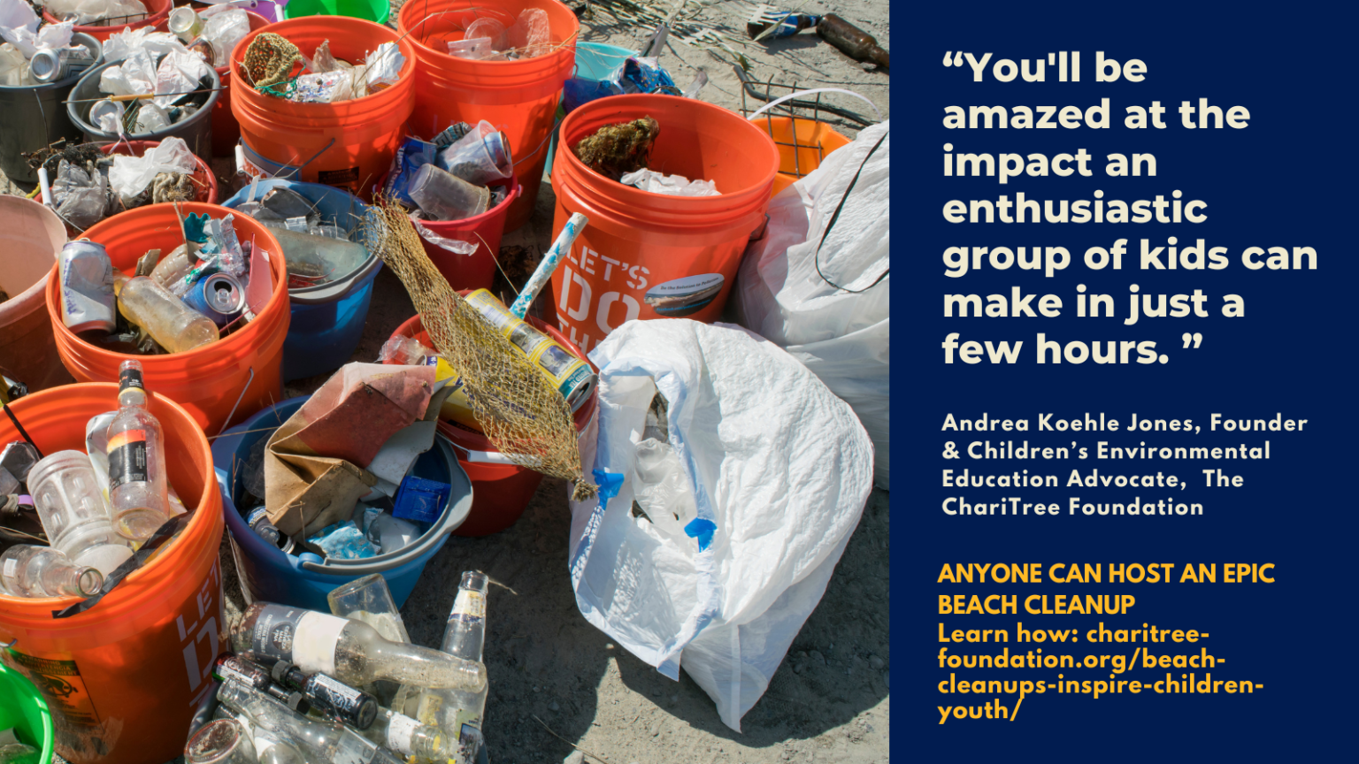 Environmental education for children - The ChariTree Foundation