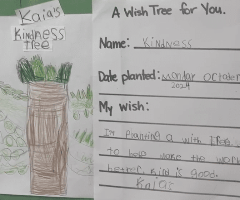 Tree planting activities for kids - The ChariTree Foundation