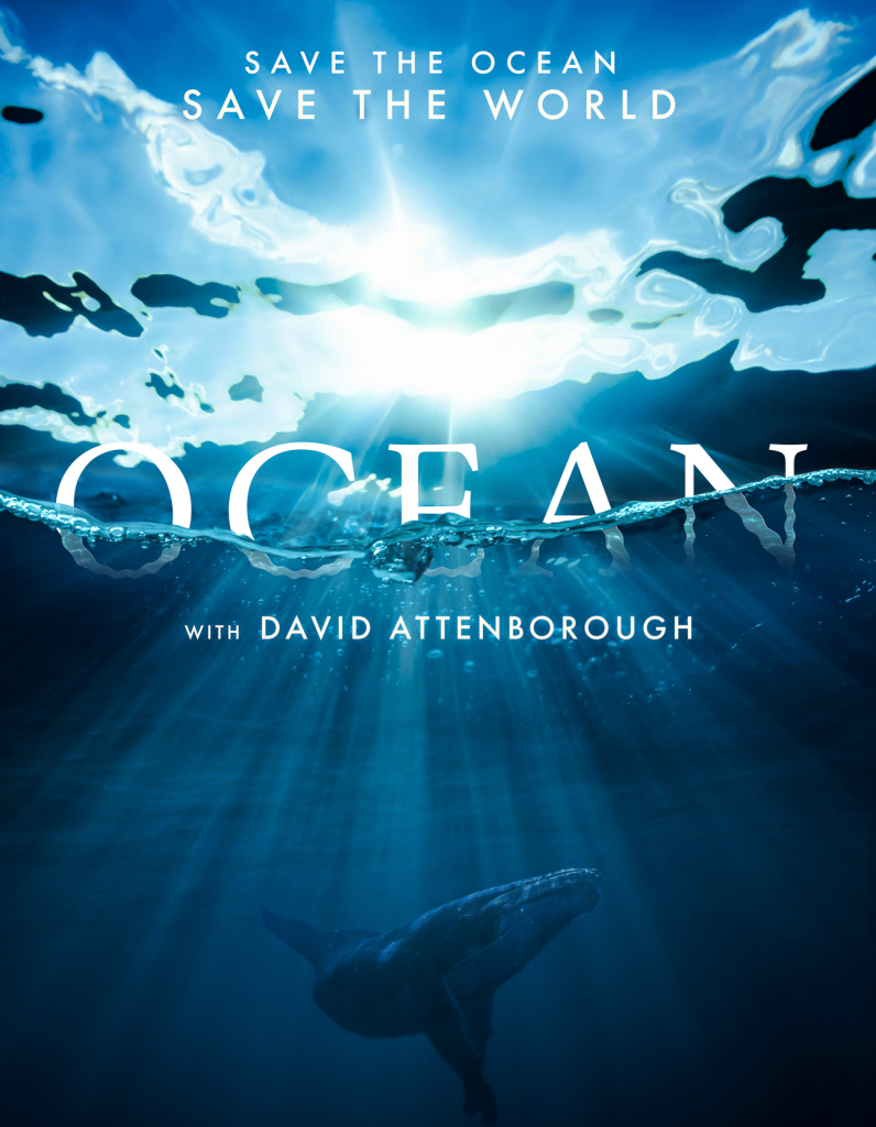 Save the Ocean, Save the World - The ChariTree Foundation